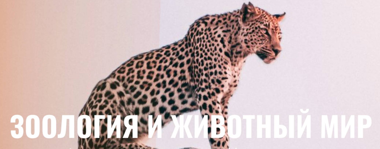 Зоология и животный мир/ Клуб любителей