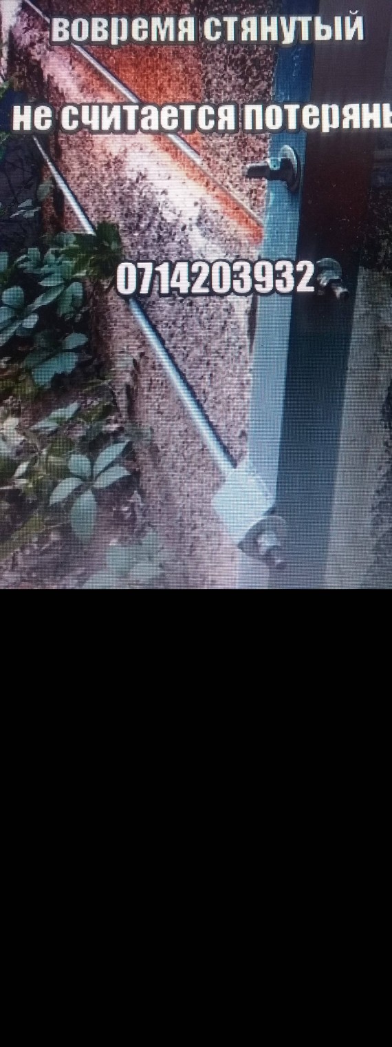 Юрий Стяждом  +79494203932.