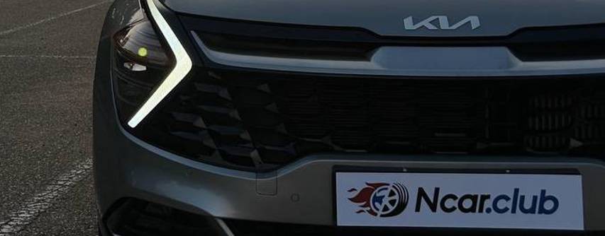 Франшизы от Владимира Ниженковского