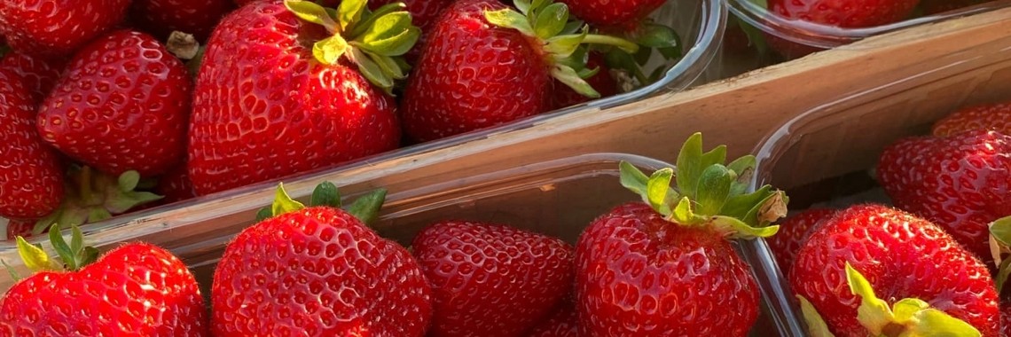 Клубника и не только 😉 с берегов Ладоги