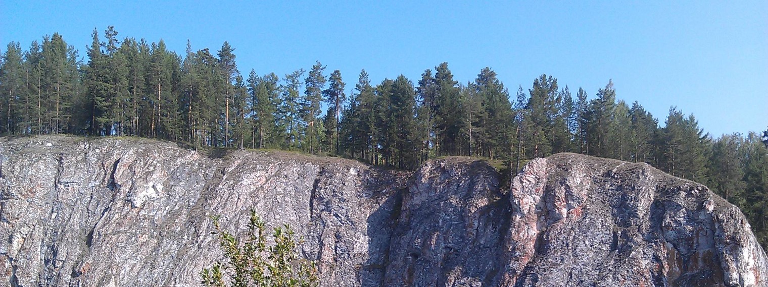 Семенов В.И (svi)