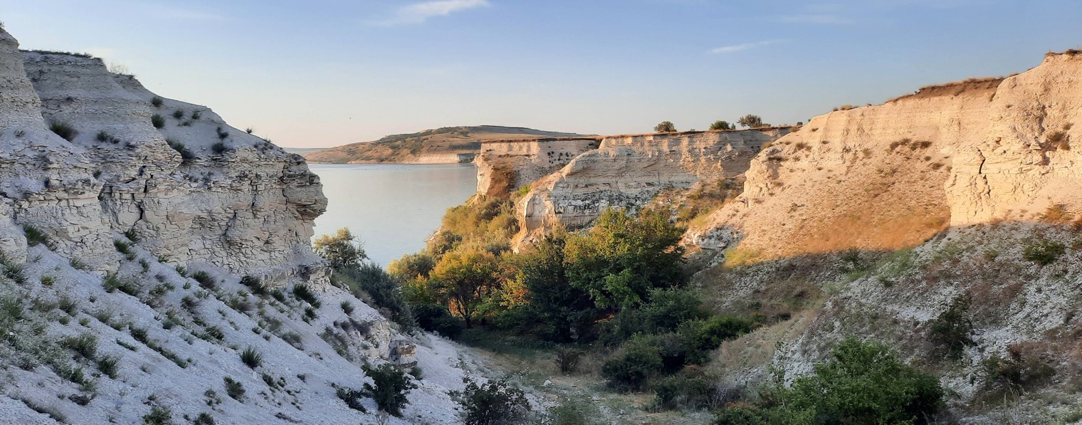 Alligator Gusevich 48RUS.