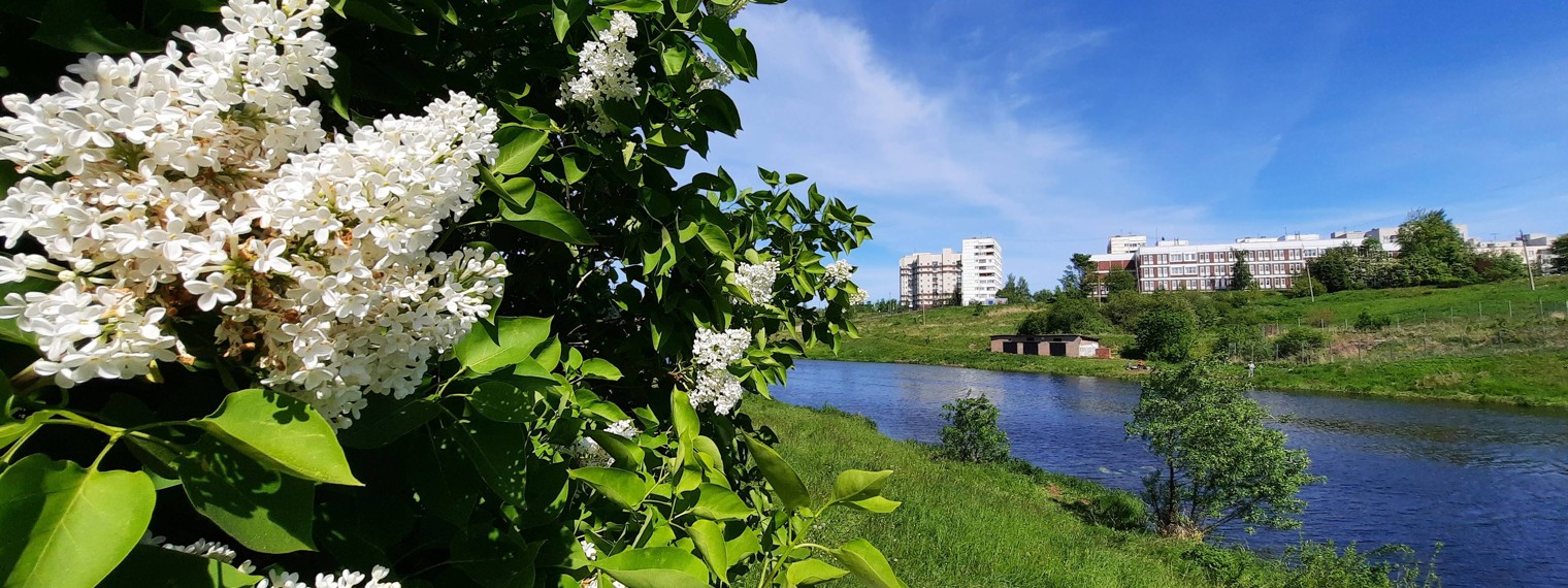 Виртуальный музей школы №2 г.Никольское