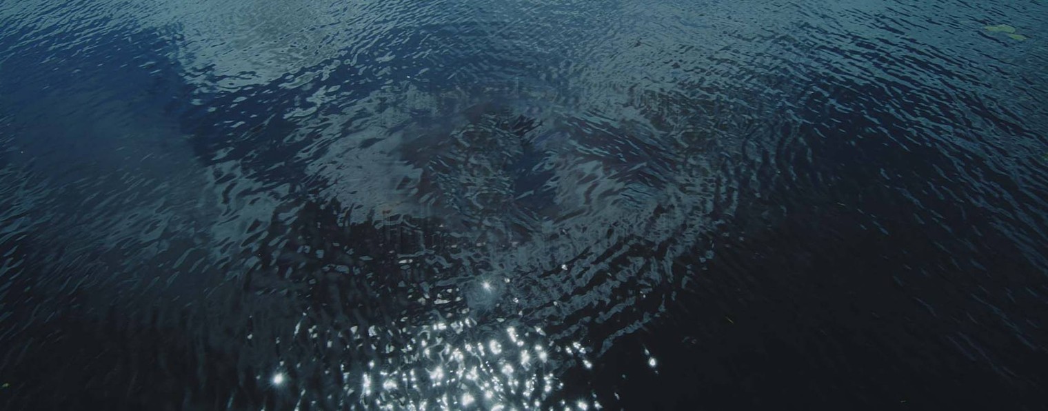 Фильмы Олега Попова