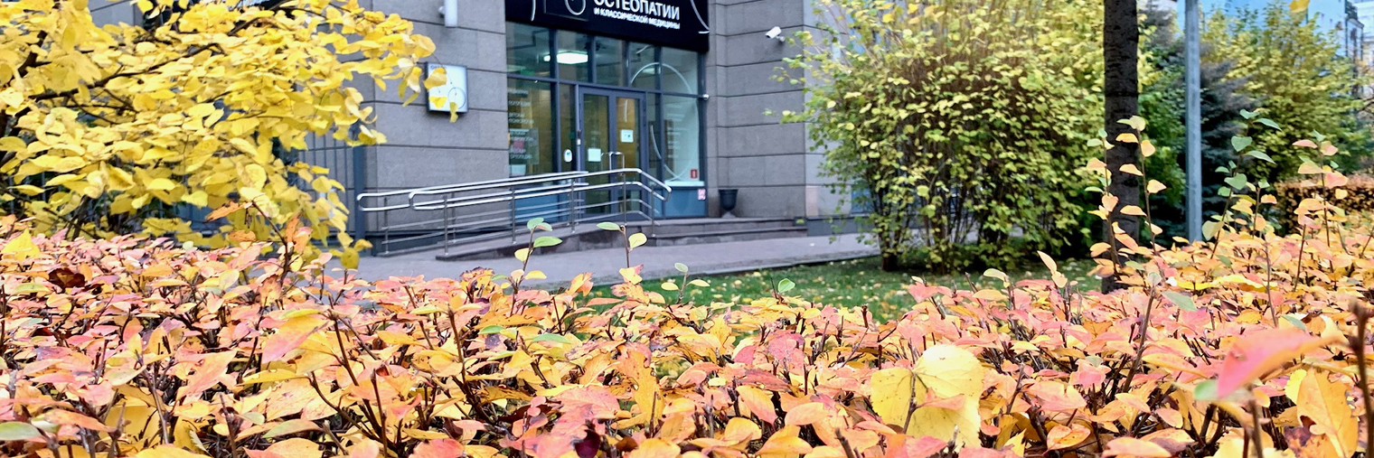 OSTEO POLY CLINIC - клиника остеопатии в Москве
