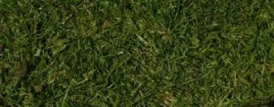 Крутой спиннигист