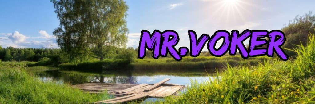Mr.Voker
