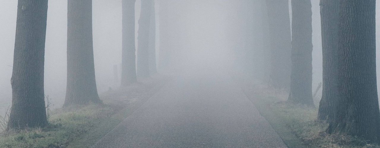 Полка с книгами