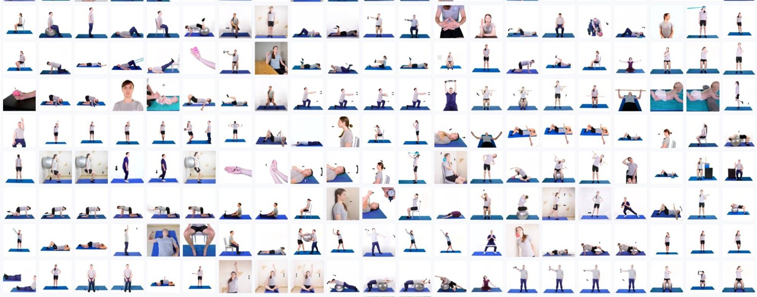 AllPhysio