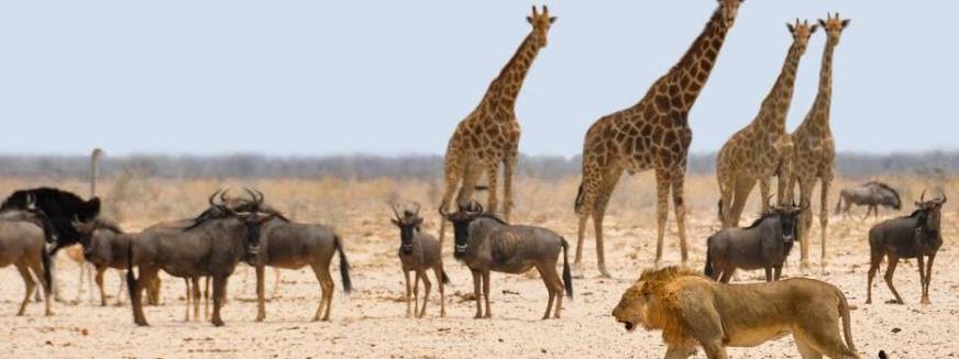 ВРЕМЯ С ПОЛЬЗОЙ