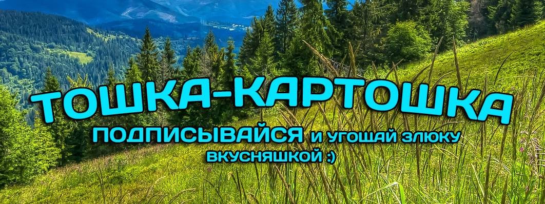 Тошка - Картошка