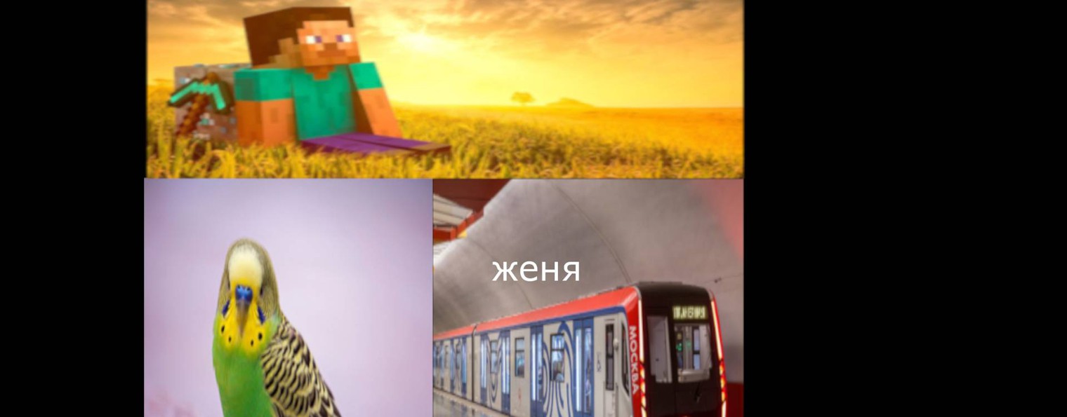 Птичёнок