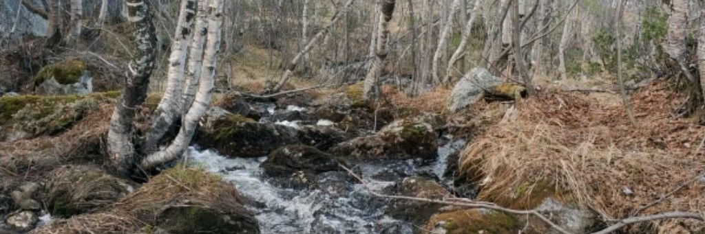 Максим Новиков