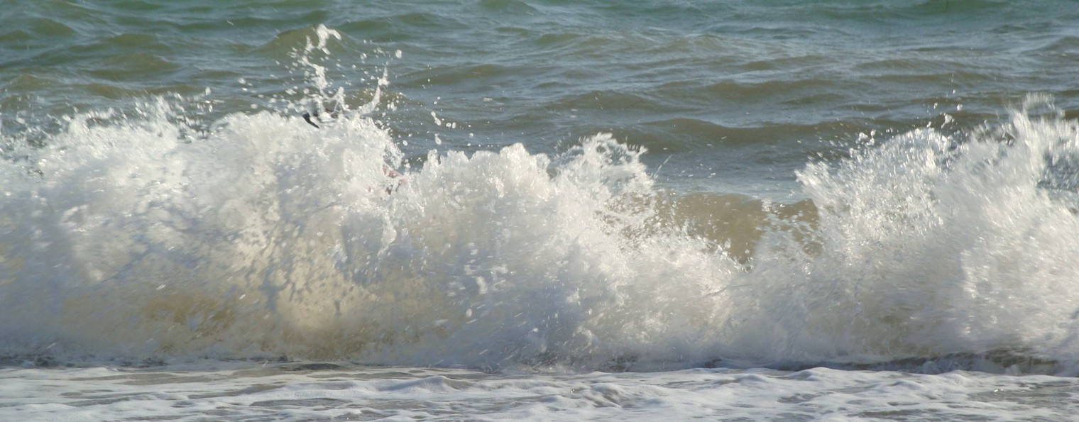 Фрунзе_Сакский Крым