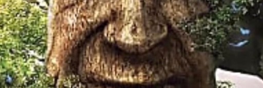 Жёсткие Видео