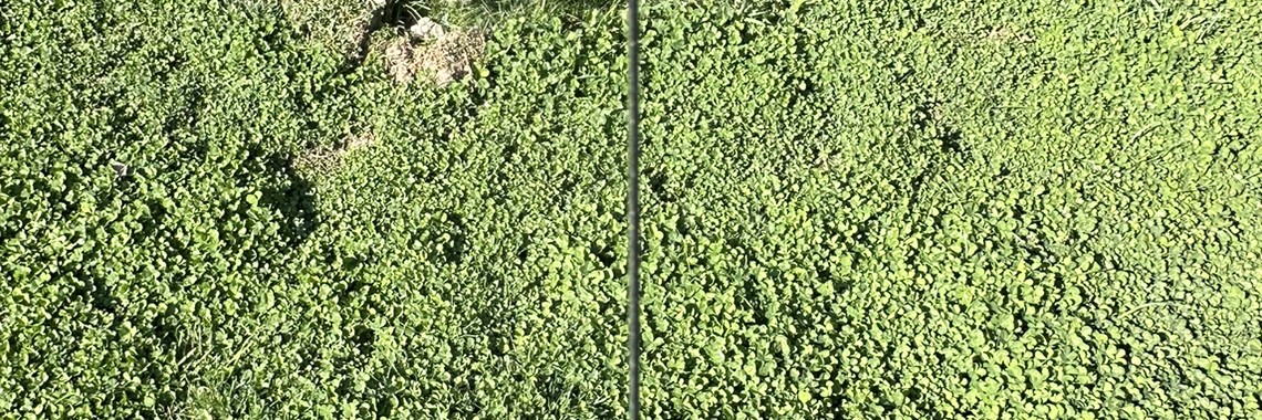 Биокамины / Камины bio_camins