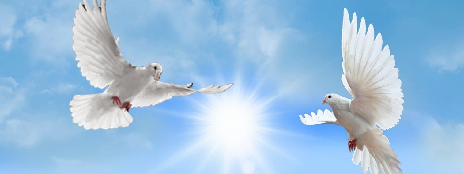 ПОЭЗИЯ И МУЗЫКА ДУШИ.