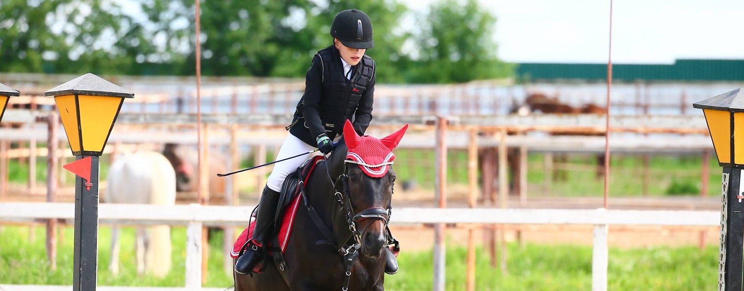 Марк  про конный спорт