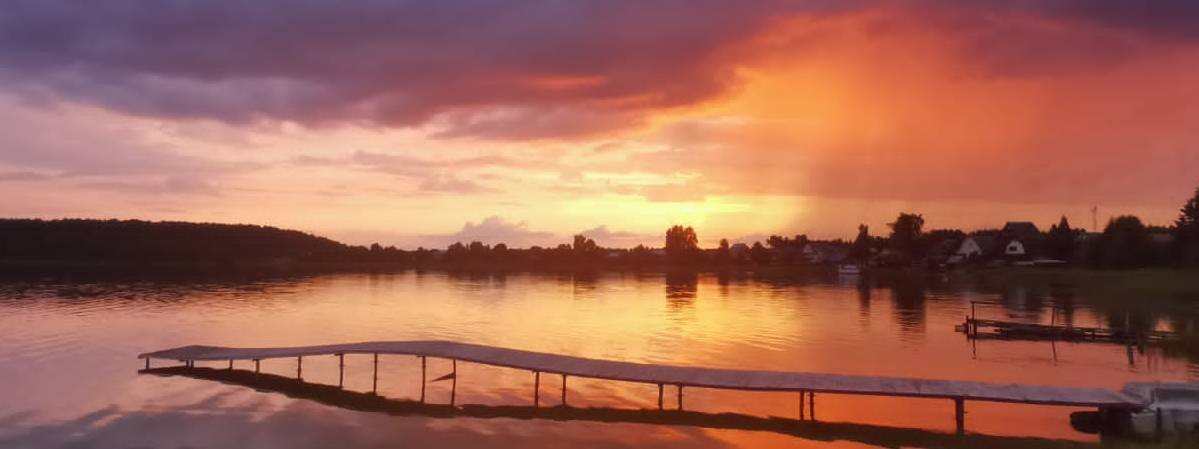 Удивительная жизнь!