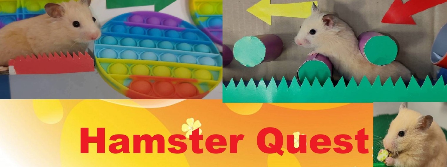 Hamster Quest