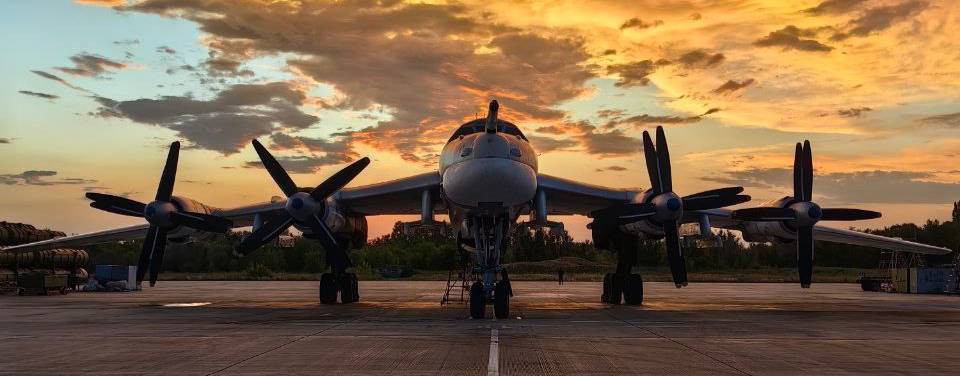 Медведь с вертикальным взлётом