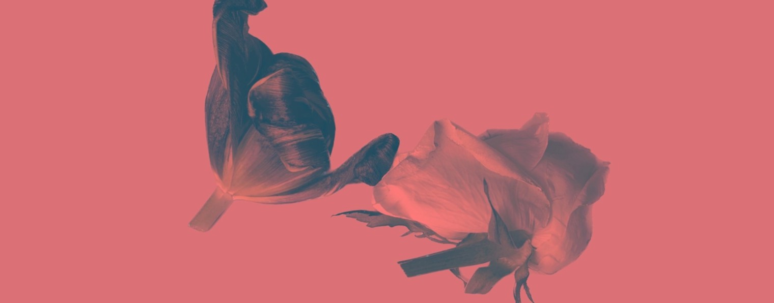 make BIOLOGY great again