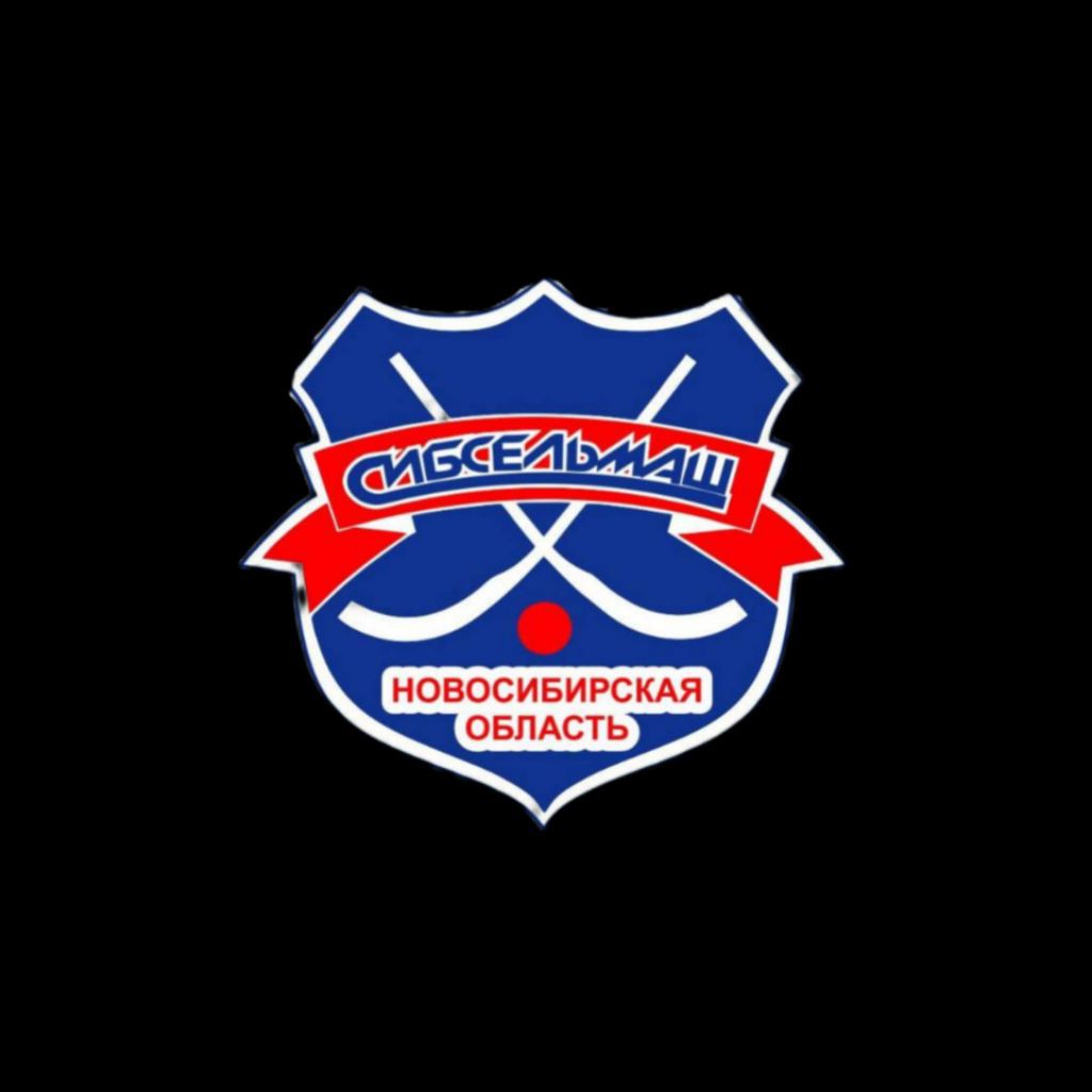 Федерация хоккея с мячом НСО