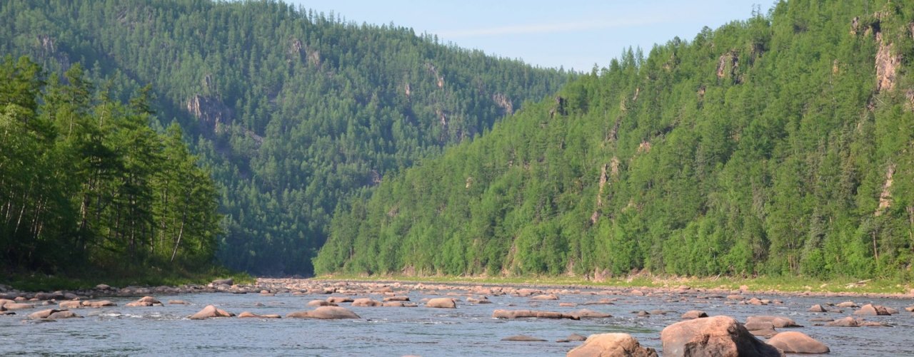 Эллочка Щукина