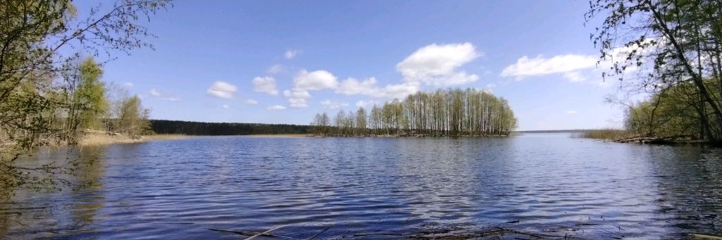патриот и прицеп niewiadow n126n