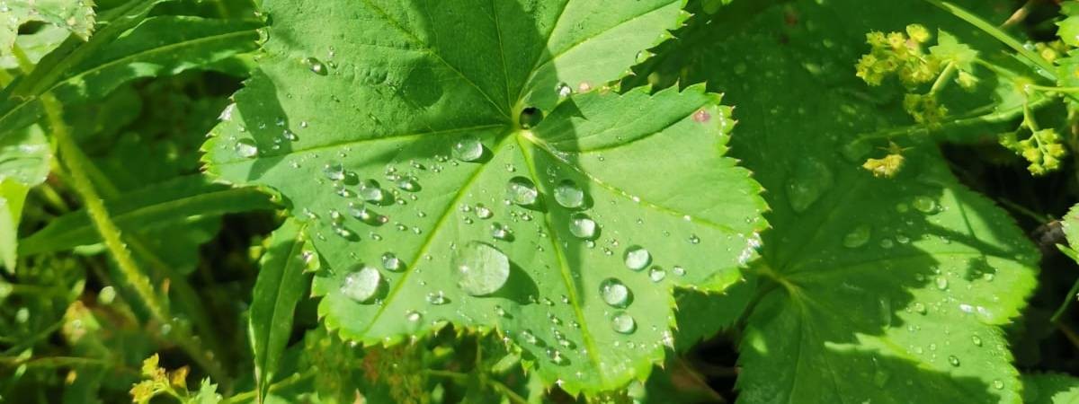 Центр Коррекции и Развития Татьяны Александровны М