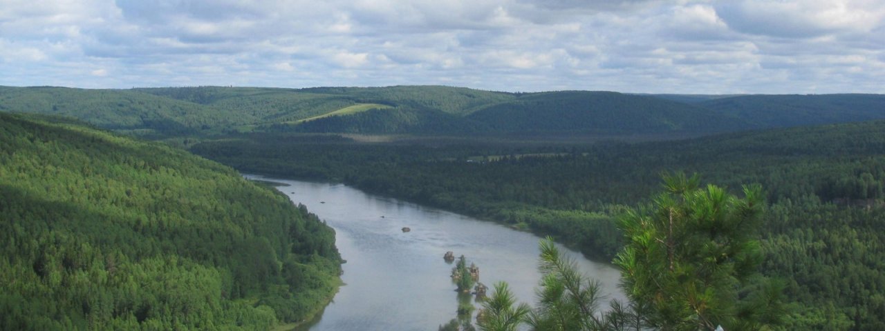 Веселый мир животных