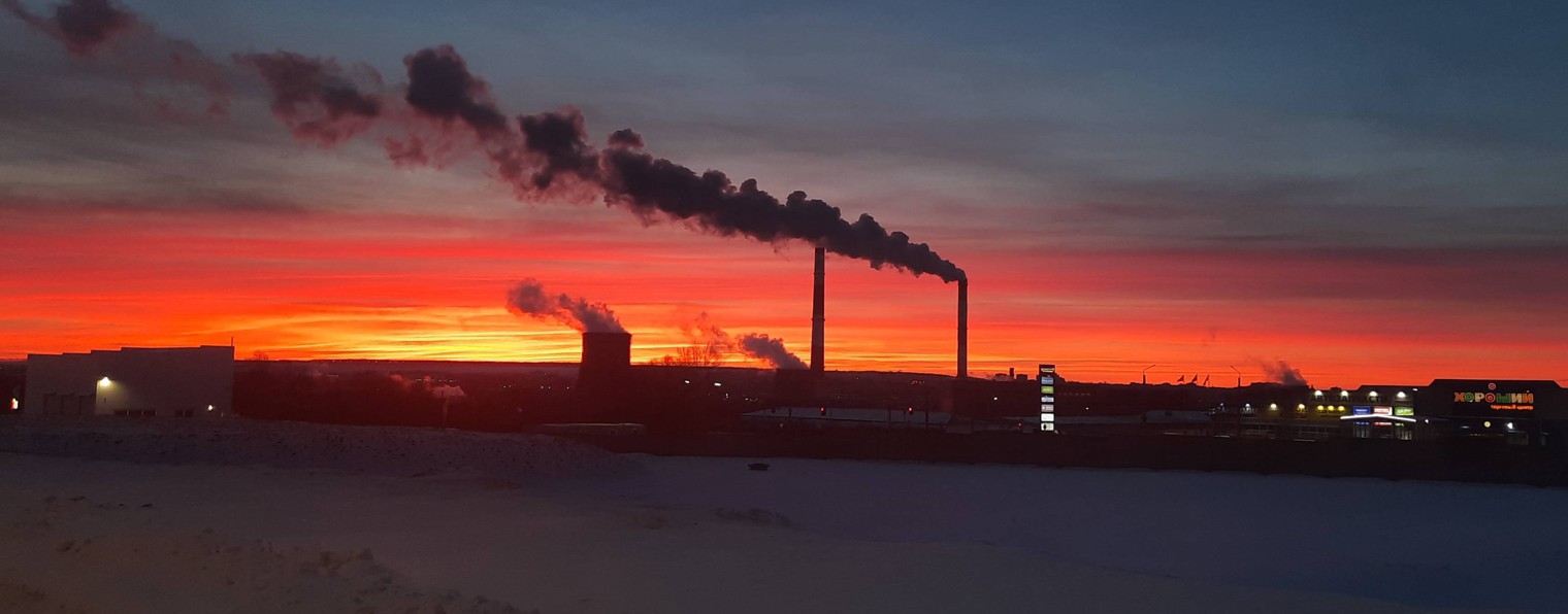 Ароматизаторы от Евгения Шенса