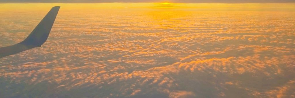 Жизнь прекрасна 444