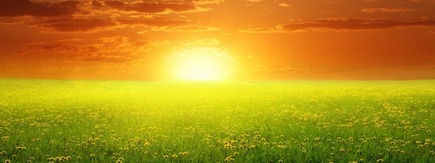 Астролог Марина Макгра