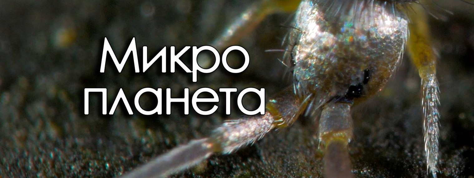 Микропланета