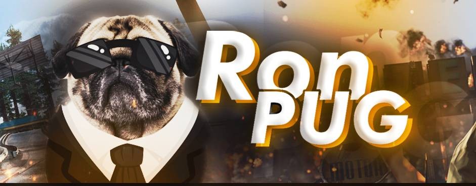 СМЕШНЫЕ ВИДЕО МИЛЫЕ ЖИВОТНЫЕ