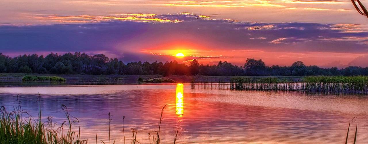 Ольга Живойкина - авторская песня