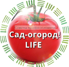 Сад-огород life
