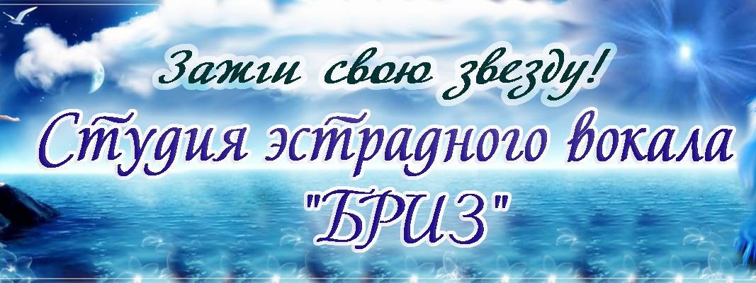 Студия "БриЗ"