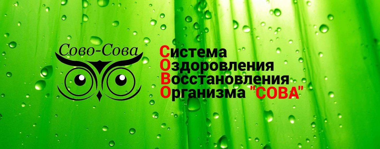 СОВО СОВА