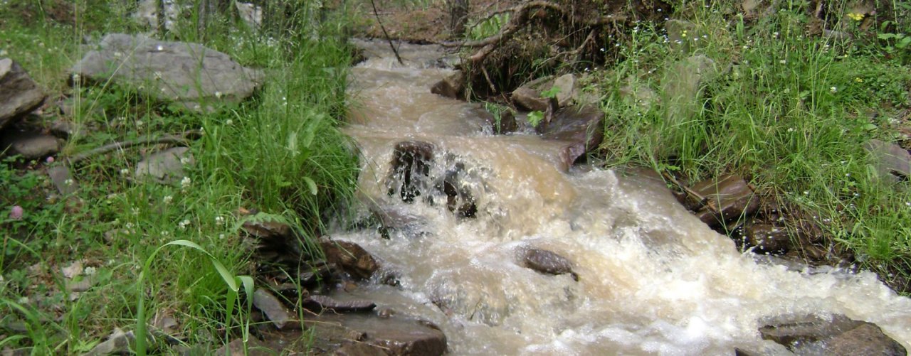 Есть ли жизнь в Сибири?