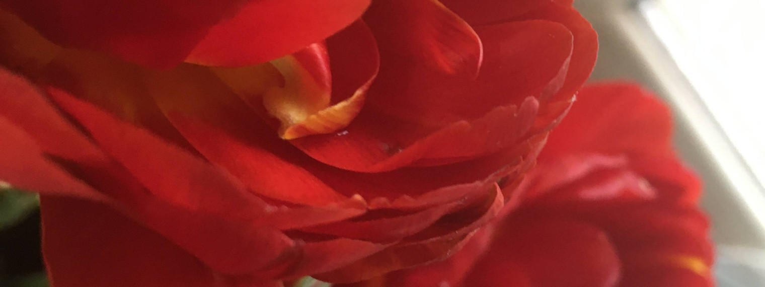 Живём на юге