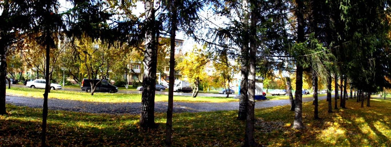 Ольга Костромина