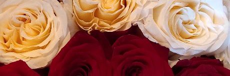 Нанули Лада