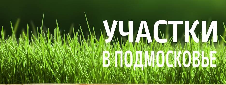 svoya-zemlya