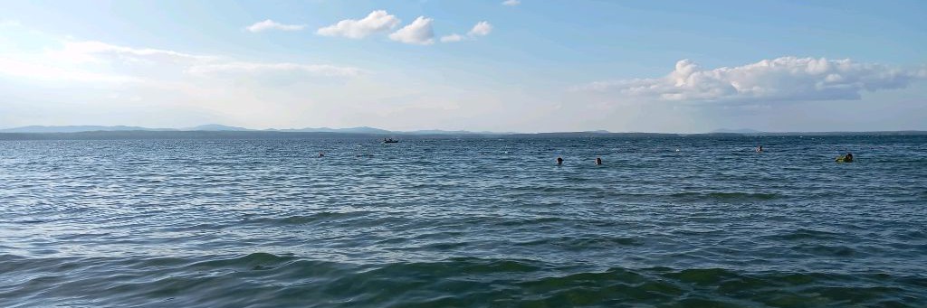 Пасхаль Виварий feat. Доктор Н. Д. Н. г. Челябинск