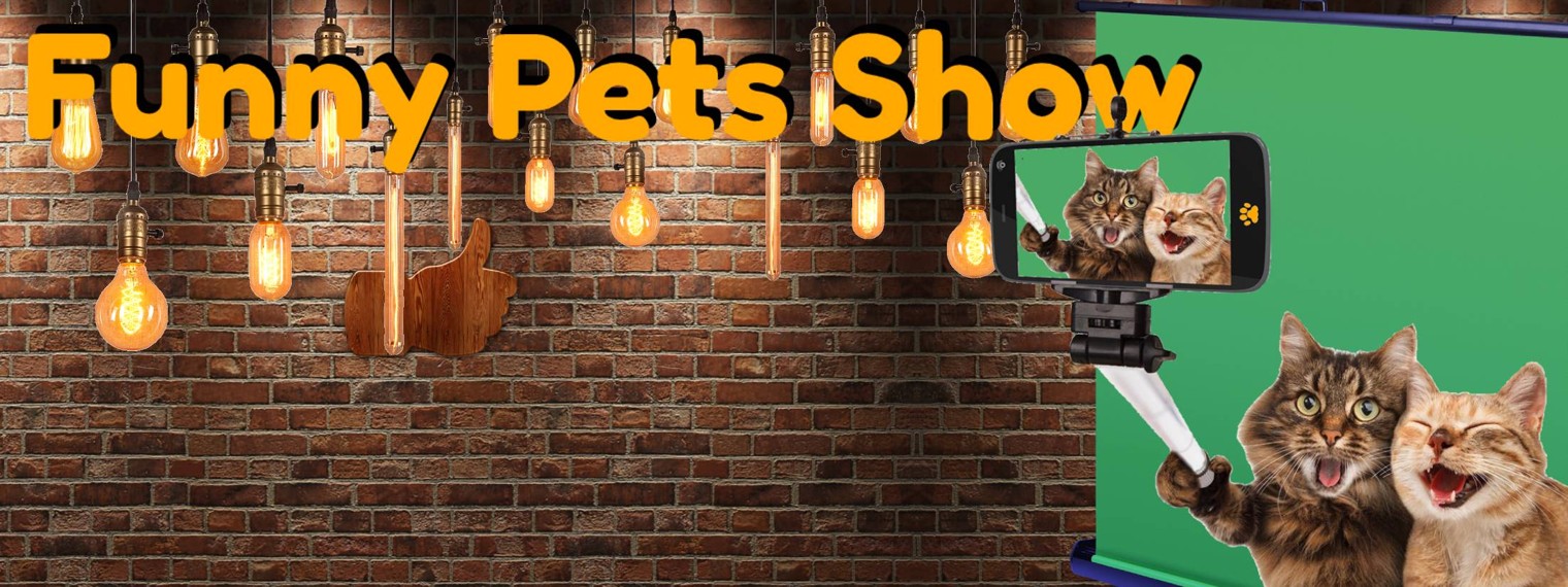 Funny Pets Show