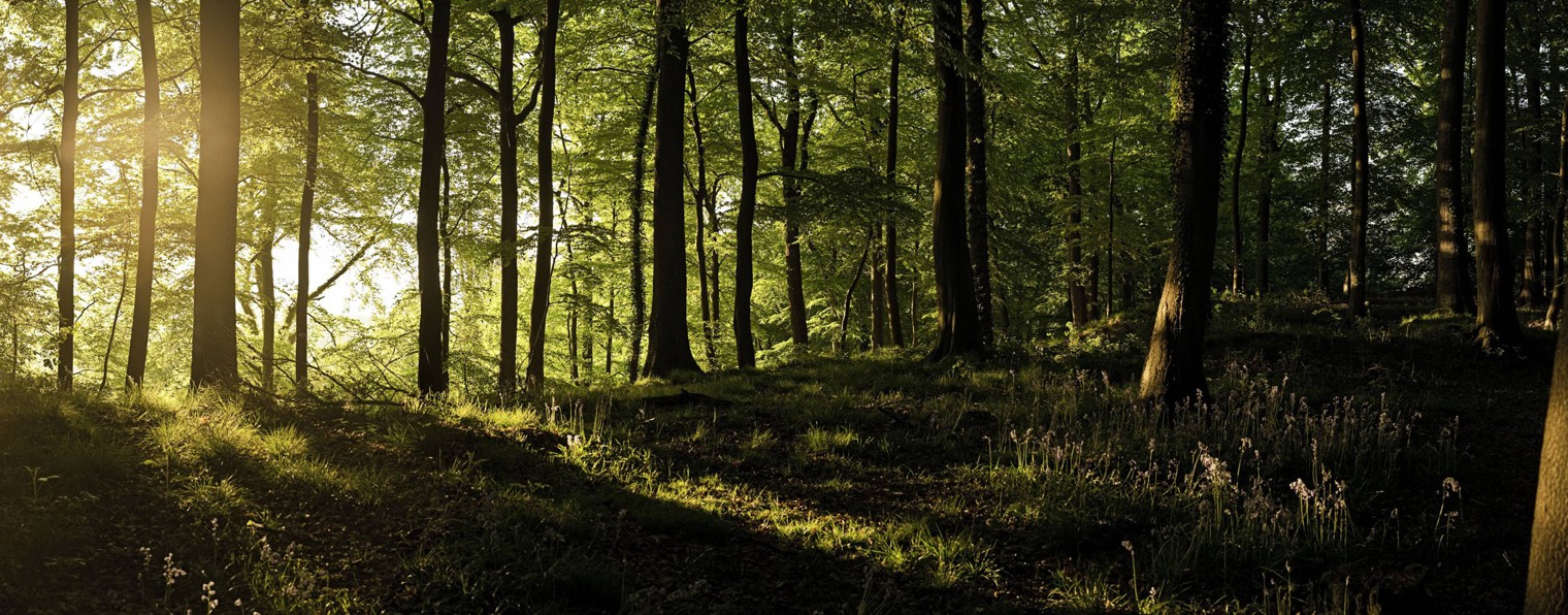 Удачное дело