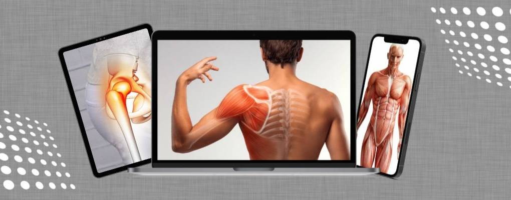 РОСТФИТ онлайн курсы для тренеров