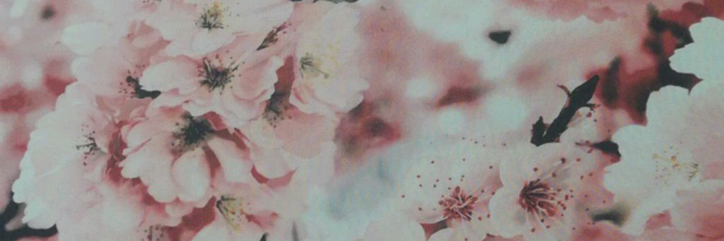 Котики бармотики